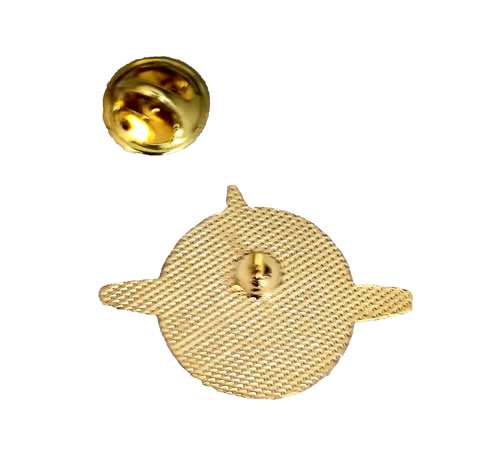 STS-114 Launch Return To Flight Shuttle Space Mission Lapel Hat Pin NOS ...