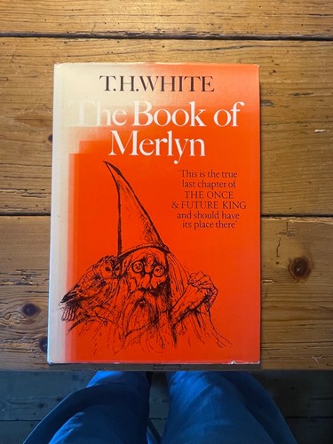 The Book of Merlyn T.H White Illustr. Once & Future King 'Last Chapter ...