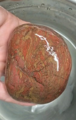 14.67 oz. Colorado River DINOSAUR COPROLITE Arizona Fossil Fossils ...