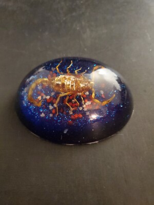 Vtg Lucite Paperweight Large Scorpion Real Insect Blue Glitter Base ...