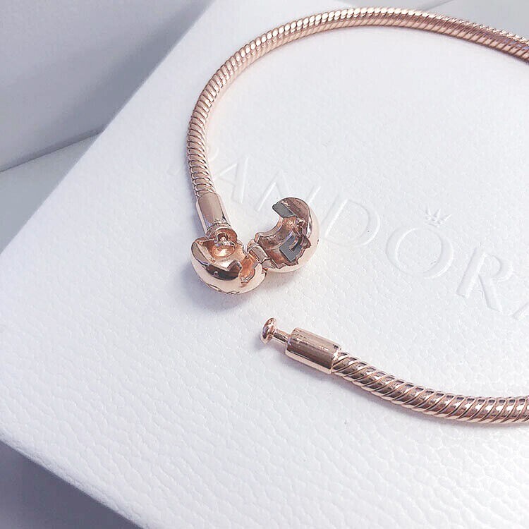 NEW Authentic PANDORA Rose 14K Gold Logo Clasp Moment Charm Bracelet ...