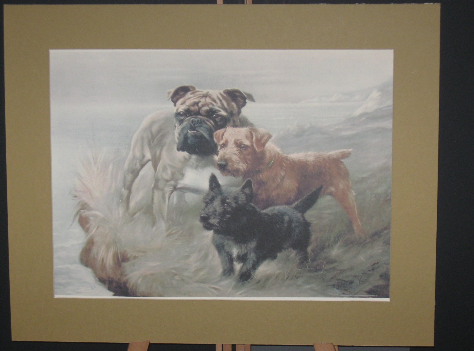 British Bulldog, Terriers, Lilian Cheviot, Brexit, Patriotic Image ...