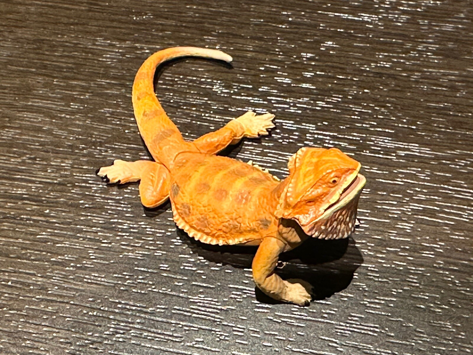 Kaiyodo Pet Animal 4 Japan Exclusive Bearded Dragon Lizard Figure A | eBay