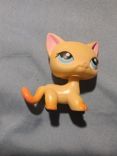 Littlest Pet Shop LPS Orange Shorthair Cat Kitten 339 Brooke Hayes | eBay