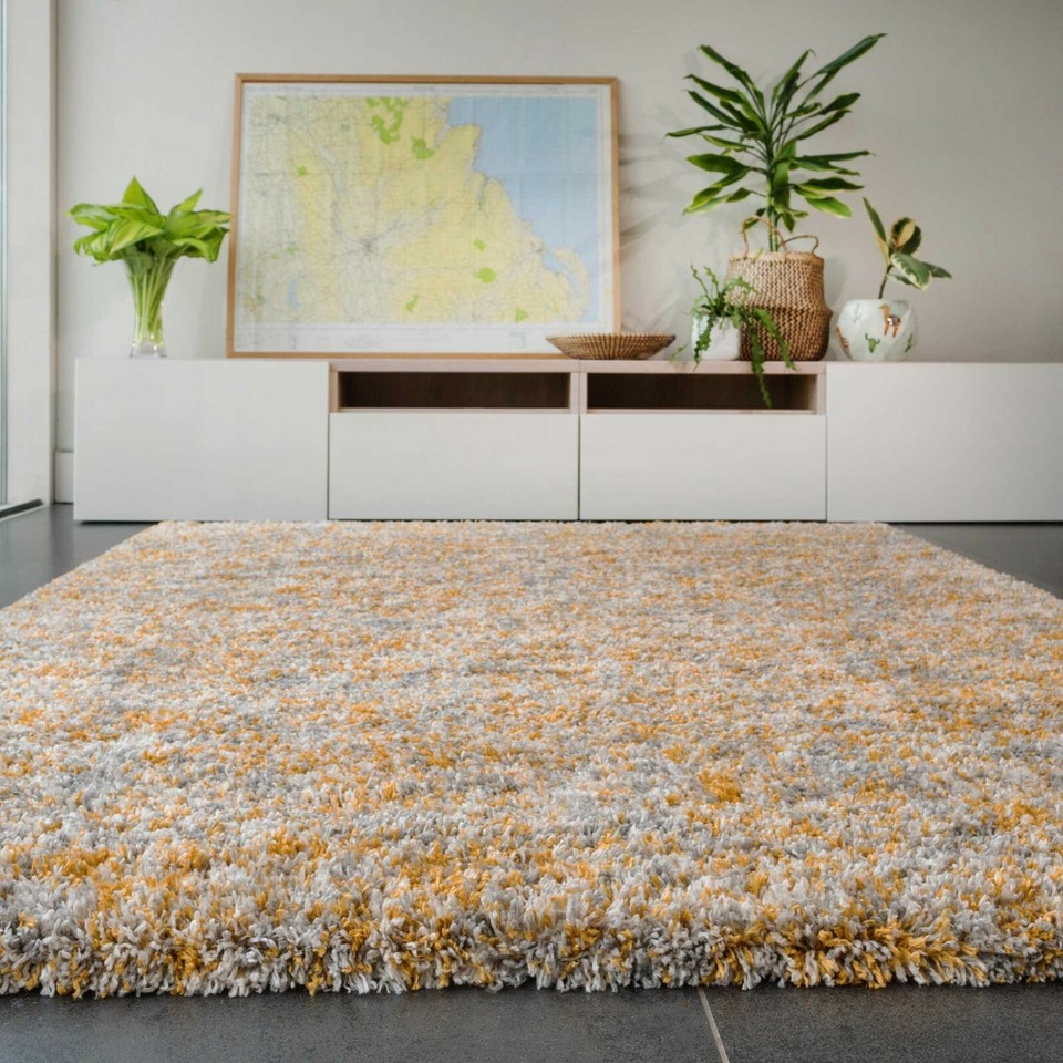 Thick Living Room Shaggy Carpet Rugs Fluffy Non Slip Rug New Trendy ...