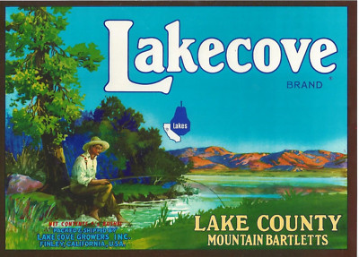 Original LAKECOVE pear crate label Lake Cove Finley CA fishing boy ...