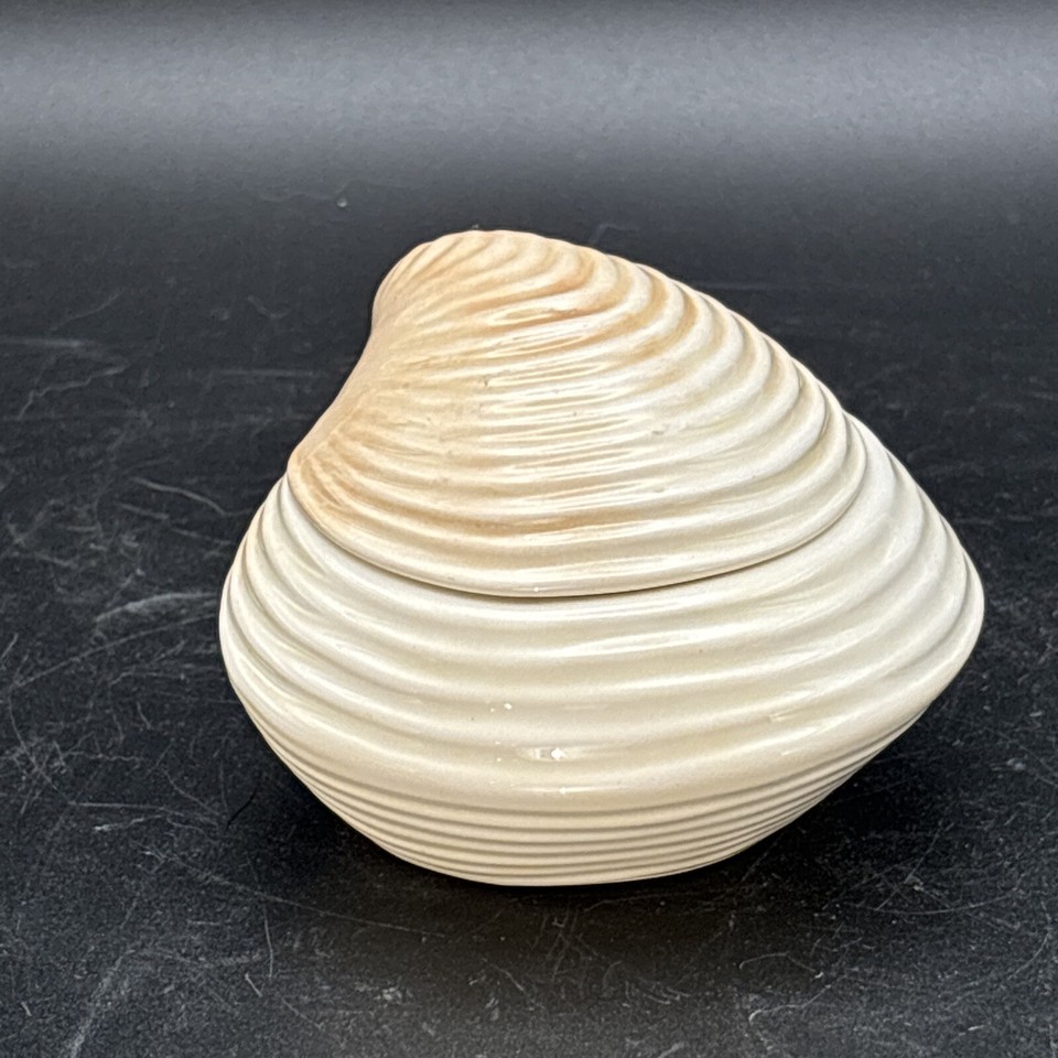 HTF Realistic Clam Sea Shell Figural Trinket Box Hand Painted Beach ...