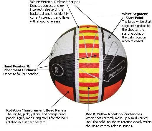 Basketball Ball Diagram