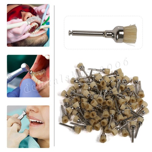 100 * Polishing Brush Brushes Dental Prophylaxis Brushes Flat Latch ...