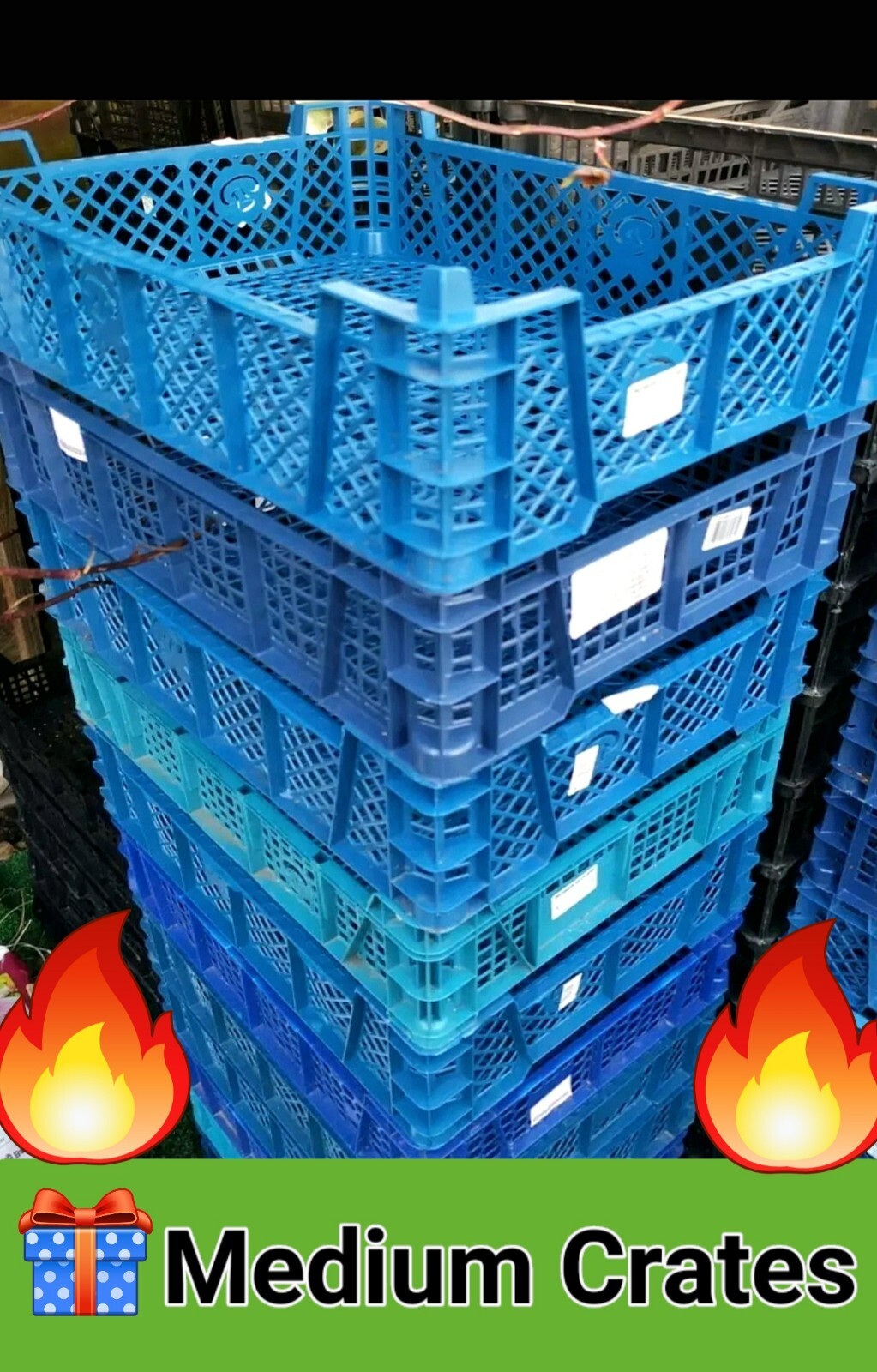 8 X Stackable Plastic Tray, Crate, Box 40x30x12.5cm - Mushroom, 🍓FAST ...