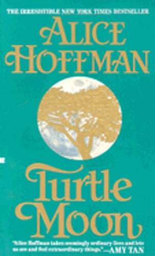 Turtle Moon by Alice Hoffman: New 9780425136997| eBay
