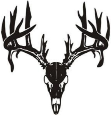 Deer Skull V5 Car Window Vinyl Decal BIG BUCK Truck Graphic Trophy ...