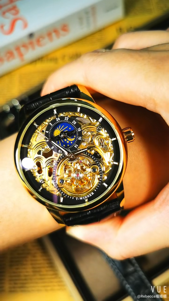WINNER Men's Retro Automatic Mechanical Watch Tourbillon Skeleton Moon ...
