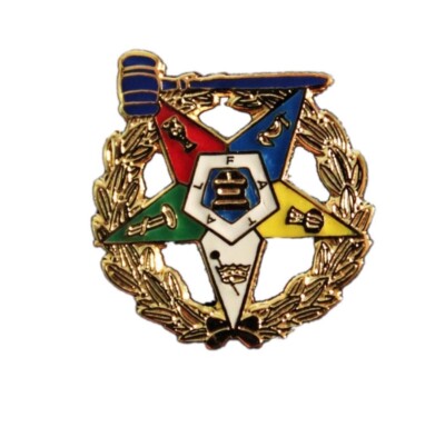 Order Eastern Star Past Worthy Matron DELUXE Lapel Pin | eBay