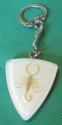 Vintage SCORPION encased in arrowhead plastic keyring key chain ...