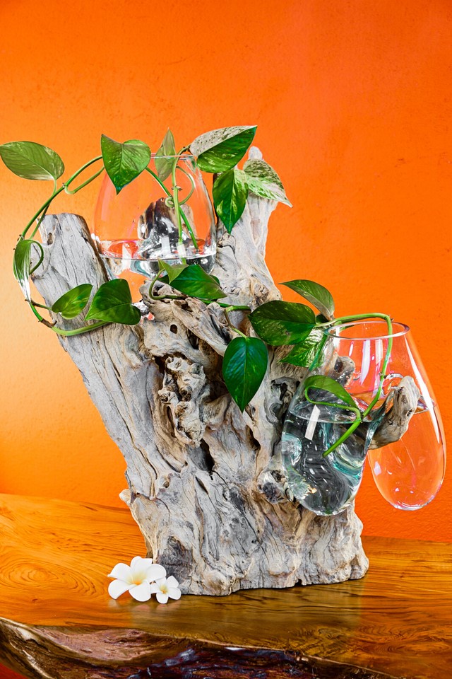 Molten Glass Root Wood Teak Bali Hand-Blown Unique Vase Handmade | eBay