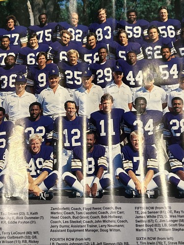 Vintage 1981 NFL Minnesota Vikings Team Poster 20" x 17" RARE | eBay