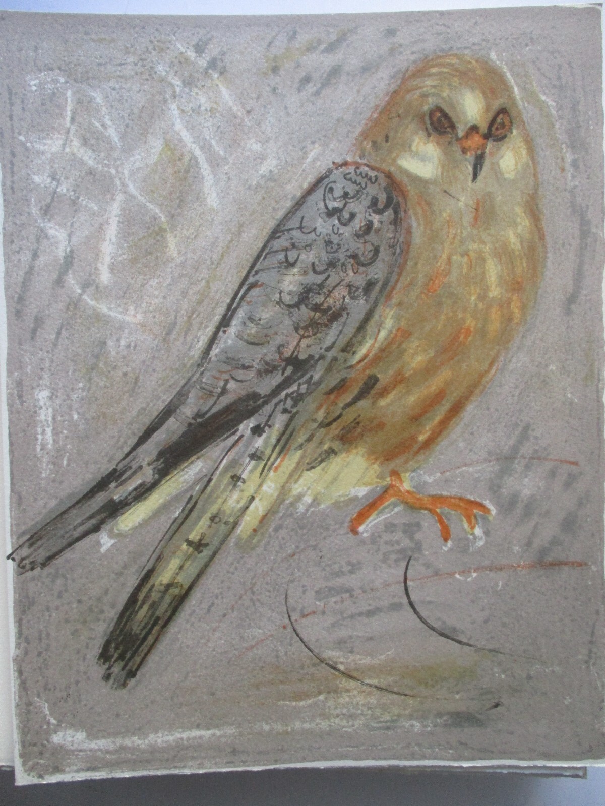 GENEVOIX Maurice / BIRR Jacques La FORÊT PERDUE Ex N°/Vélin ILL. Lithos ...