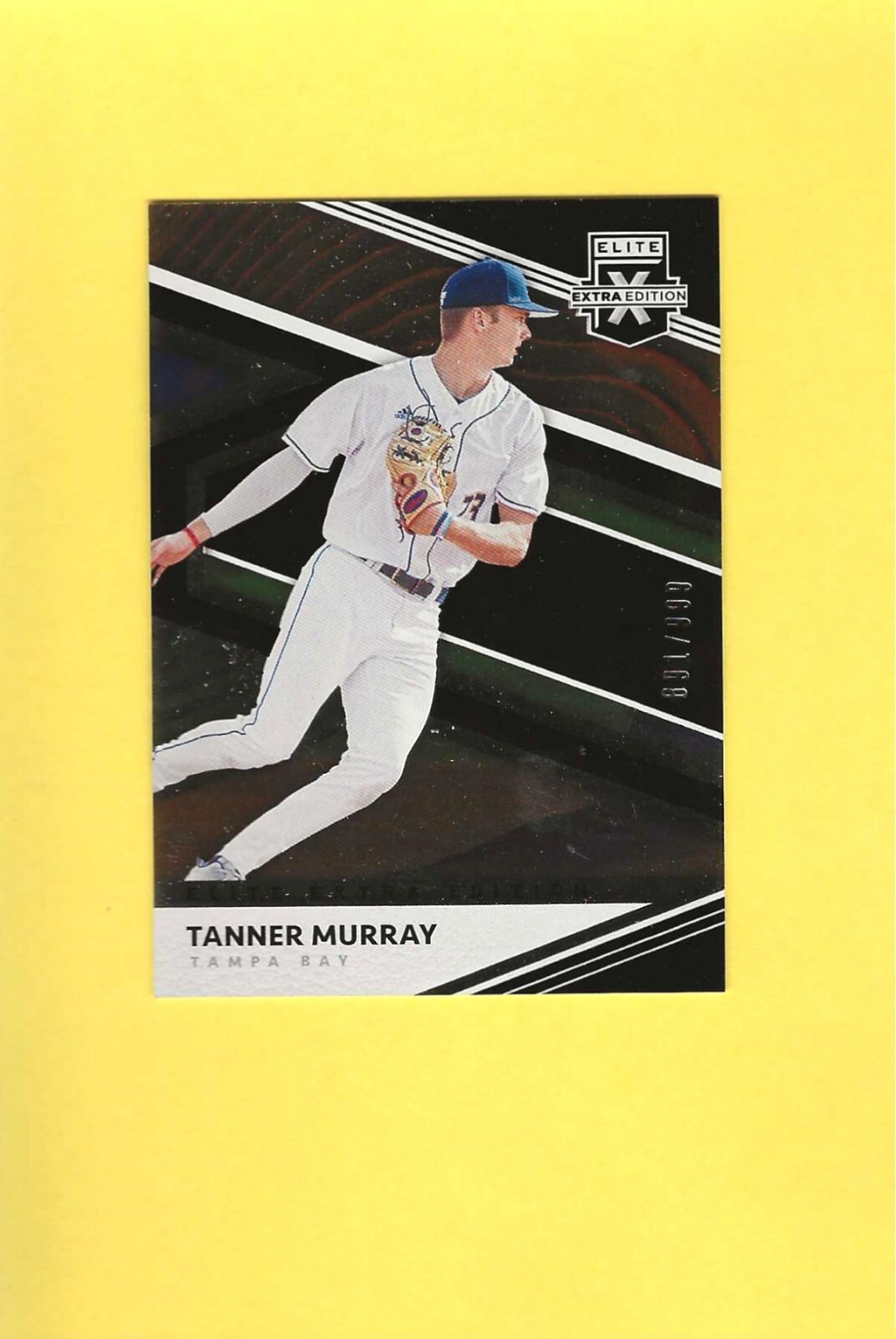 2020 Panini Elite Extra Edition /999 Tanner Murray #132 MINT | eBay