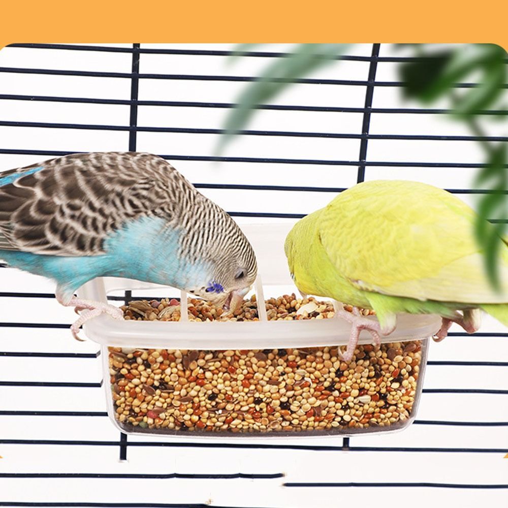 Transparent Bird Water Tank Box Feeding Supplies Indoor Bird Feeder ...