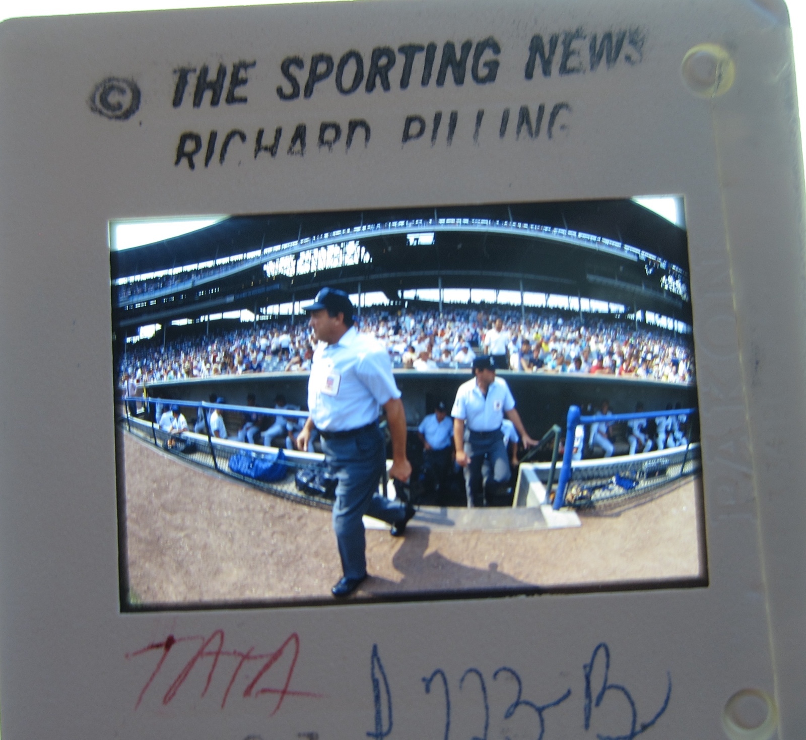 TERRY TATA NATIONAL LEAGUE UMPIRE 1973-1989 ORIGINAL SLIDE 2 | eBay