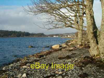 Photo 6x4 Shore of Loch Gilp Lochgilphead Facing north along the shore ...