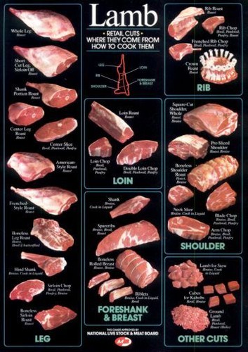 Lamb Cuts Cuts Of Meat Chart Poster 24inx36in | eBay