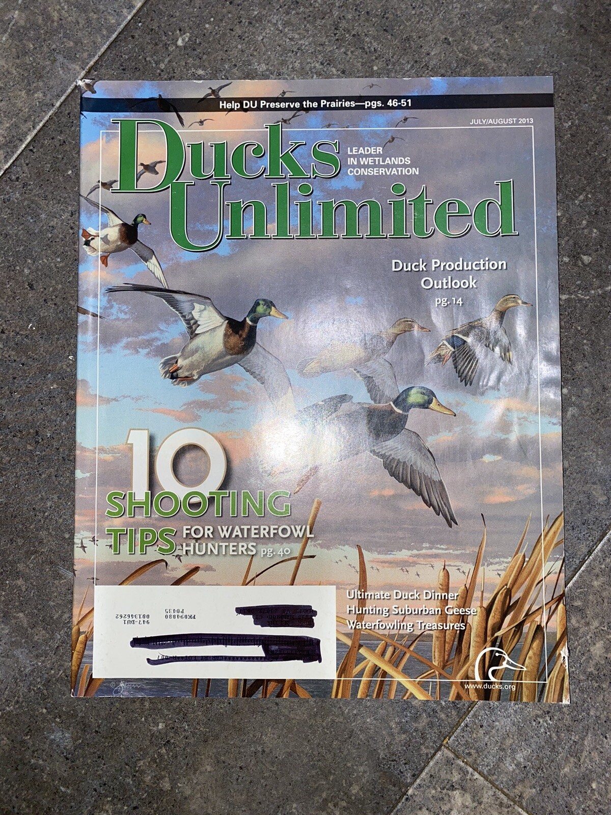 Ducks Unlimited Wetland Conservation Magazine July August 2013 Shooting ...
