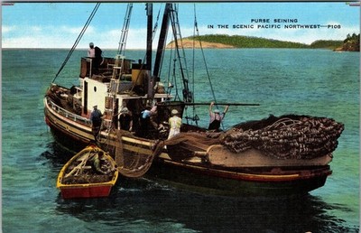 Purse Seining, Boat, Ships, Transportation, Vintage Postcard | eBay