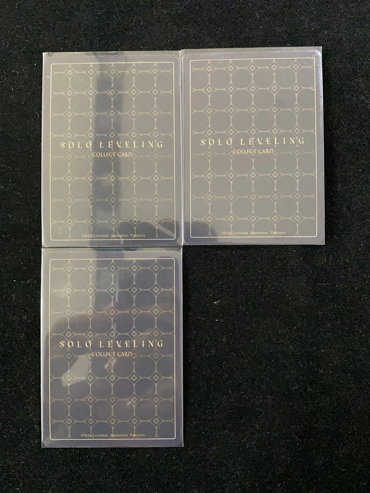 Solo Leveling Mapniverse Cha Hae-In Sung Jinwoo Holo Lot 3 ggy | eBay