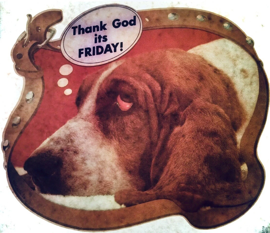 Thank God Its Friday Dog
