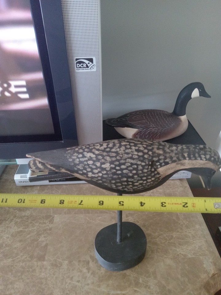 AWESOME FOLK ART VIRGINIA DECOY Grayson chesser shorebird | eBay