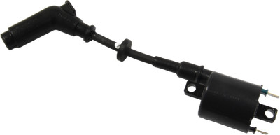 Zündspule ignition coil bobine für Honda BF40 BF50 BF40D BF50D 30511 ...