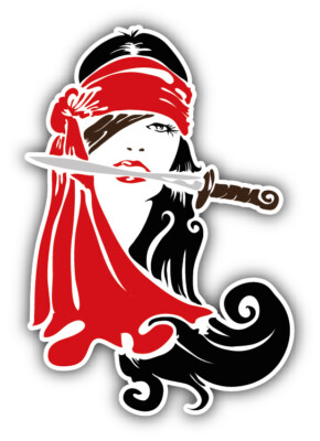 Girl Pirate Car Bumper Sticker Decal - ''SIZES'' | eBay