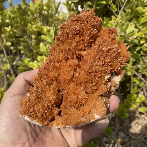Natural Stalactite crystalline stone Orange calcite Cluster Mineral ...