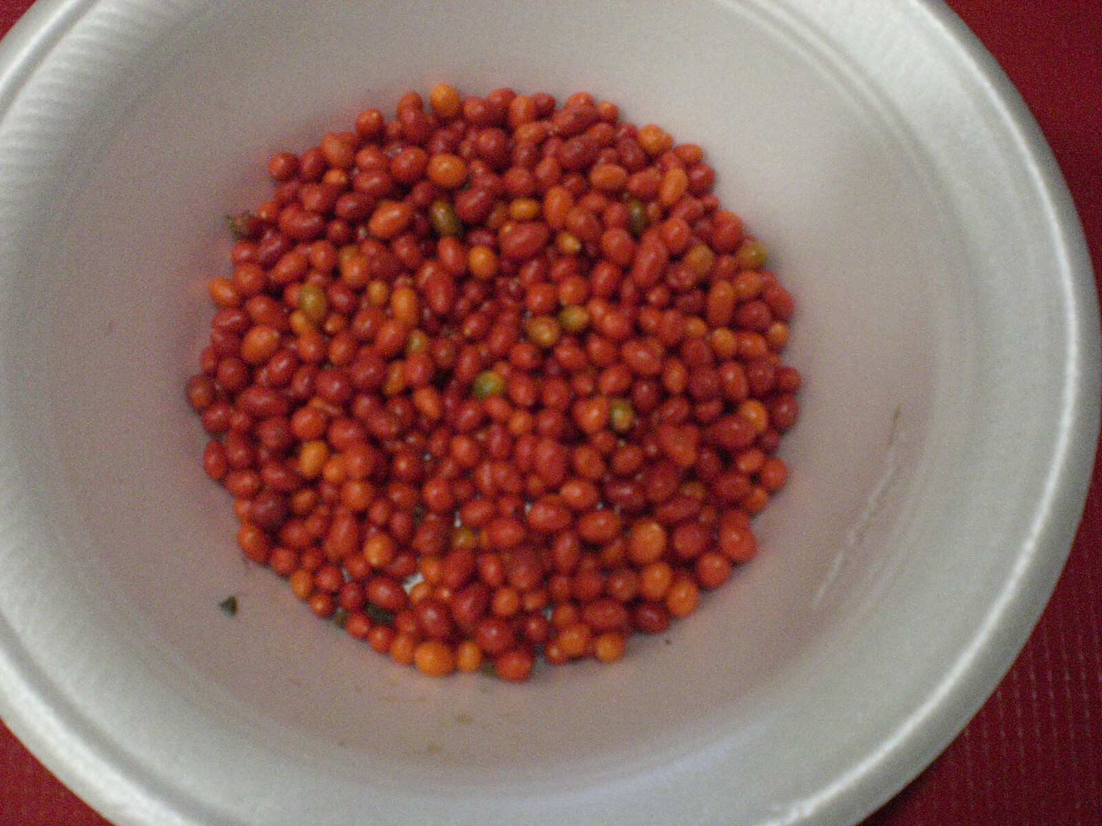 200 seeds Chiltepin PEQUIN Wild ChilE PepperS,PETIN,BRIGHT RED,GREEN ...