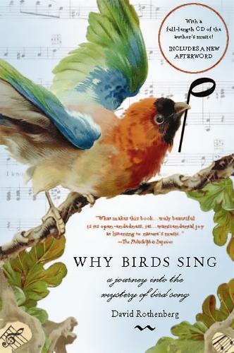 David Rothenberg Why Birds Sing (Poche) | eBay