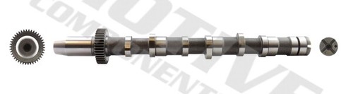 Camshaft for AUDI SKODA VW:A4 B6,A4 B7,A6 C5,SUPERB I,A4 / S4 B6 ...