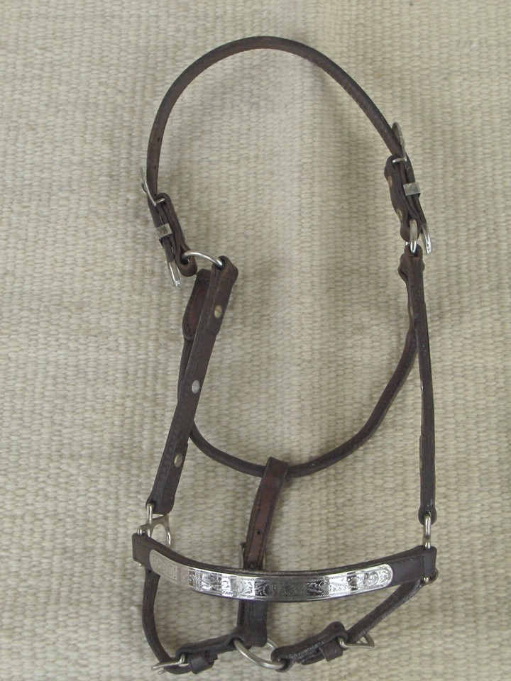 CIRCLE Y LEATHER WESTERN SHOW HALTER with SILVER@@ | eBay