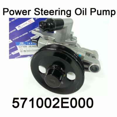 Power Steering Oil Pump Oem 571002E000 For Hyundai Tucson Sportage 05 ...