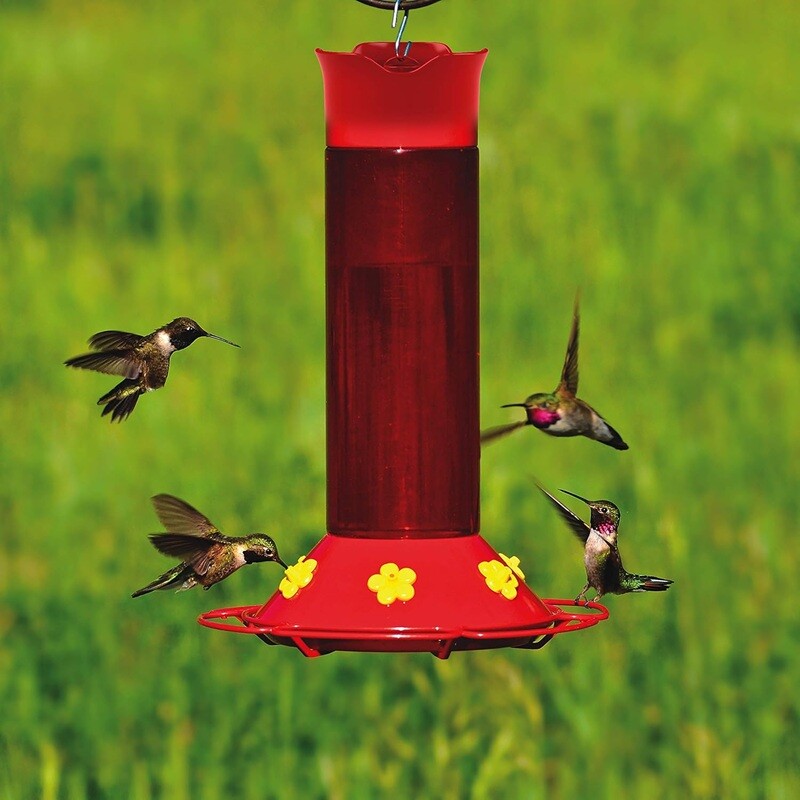 Hummingbird Feeder 30 oz Red Plastic with Perches Built-In Ant Moat Bee ...