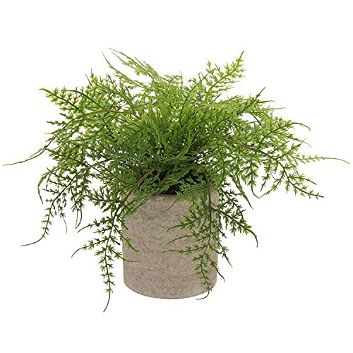 Small Fake Plant Potted Plants Artificial Decor Silk Asparagus Ferns ...