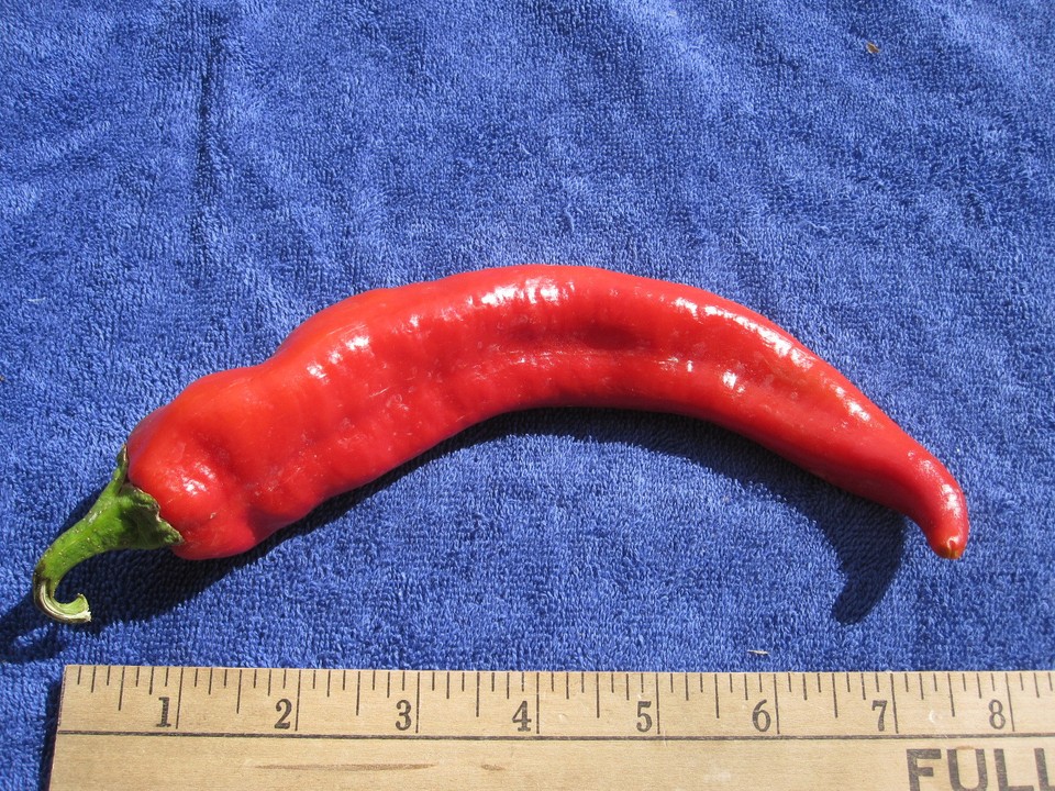 HATCH NEW MEXICO MILD RED CHILE POWDER 2 OZ Fresh USA SELLER FREE SHIP ...