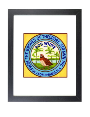 Bob White Orange De Leon Springs Florida Matted Framed Crate Label Art ...