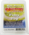 Wild Berry Fizzy Pop Wax Melts [2 Packs x 6 Melts Per Pack - White - 2 ...