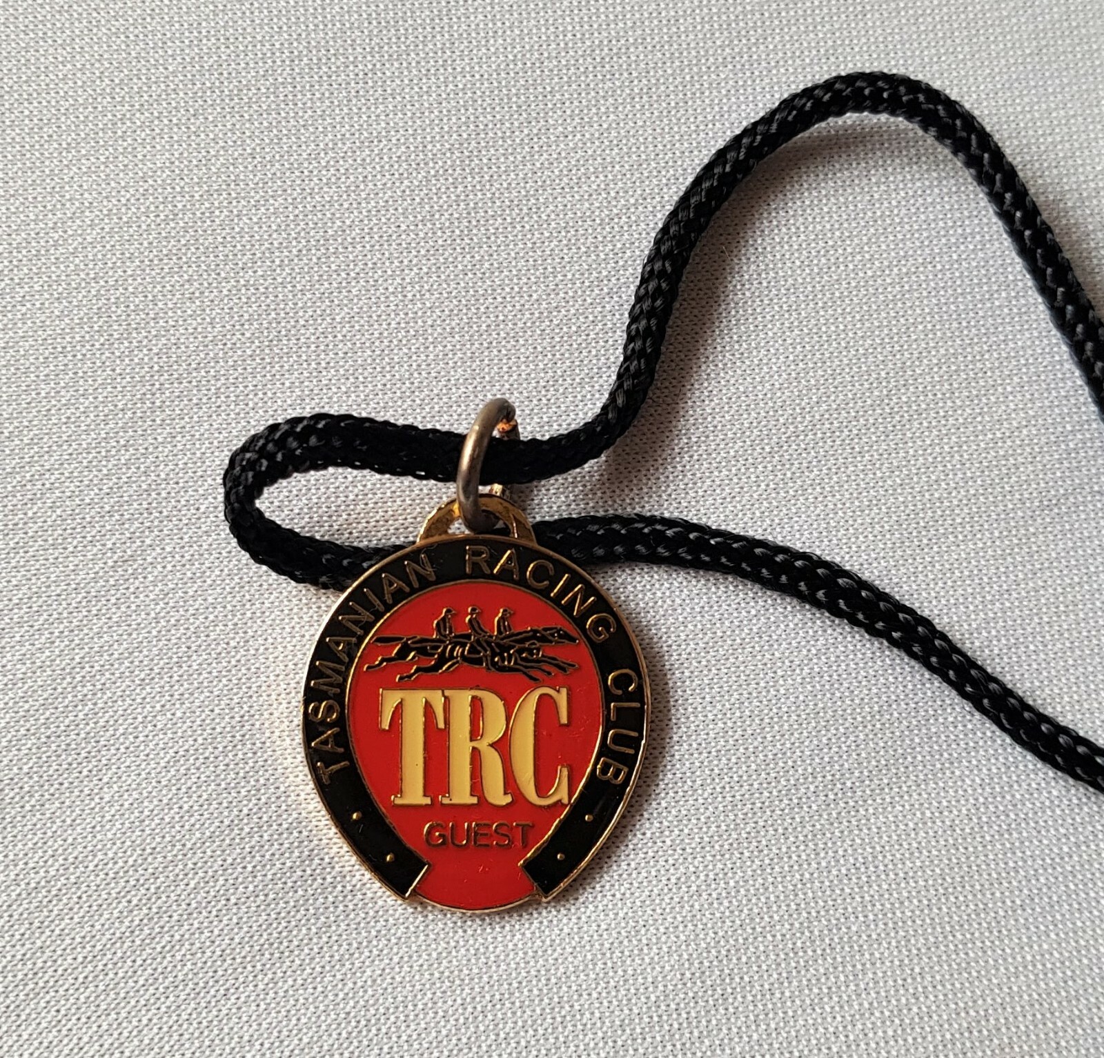 COLLECTABLE TASMANIAN RACING CLUB TRC ENAMEL 2001 GUEST MEMBER BADGE ...
