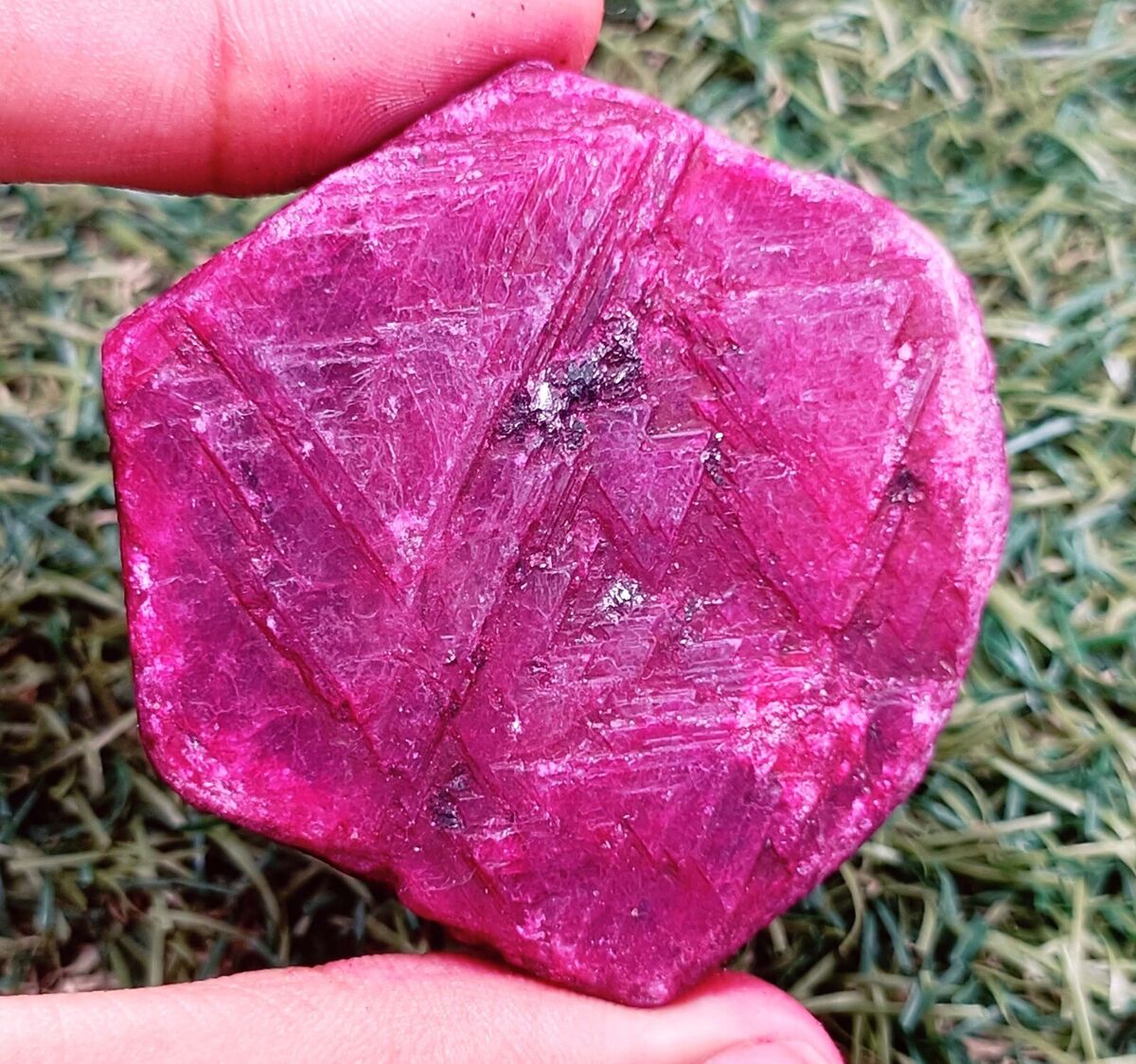 Dyed Precious 482.95 Ct Natural Red Ruby Uncut Rough EGL Dyed Precious 482.95 Ct Natural Red Ruby Uncut Rough EGL