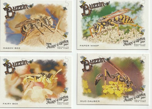 2024 Topps Allen & Ginter BUZZIN Bees Wasps Insert set! - You Pick Choose | eBay