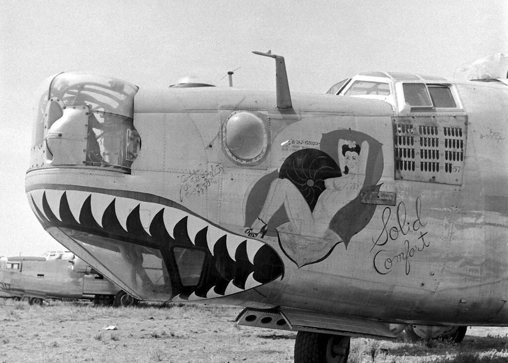 Wwii Bomber Nose Art Shark