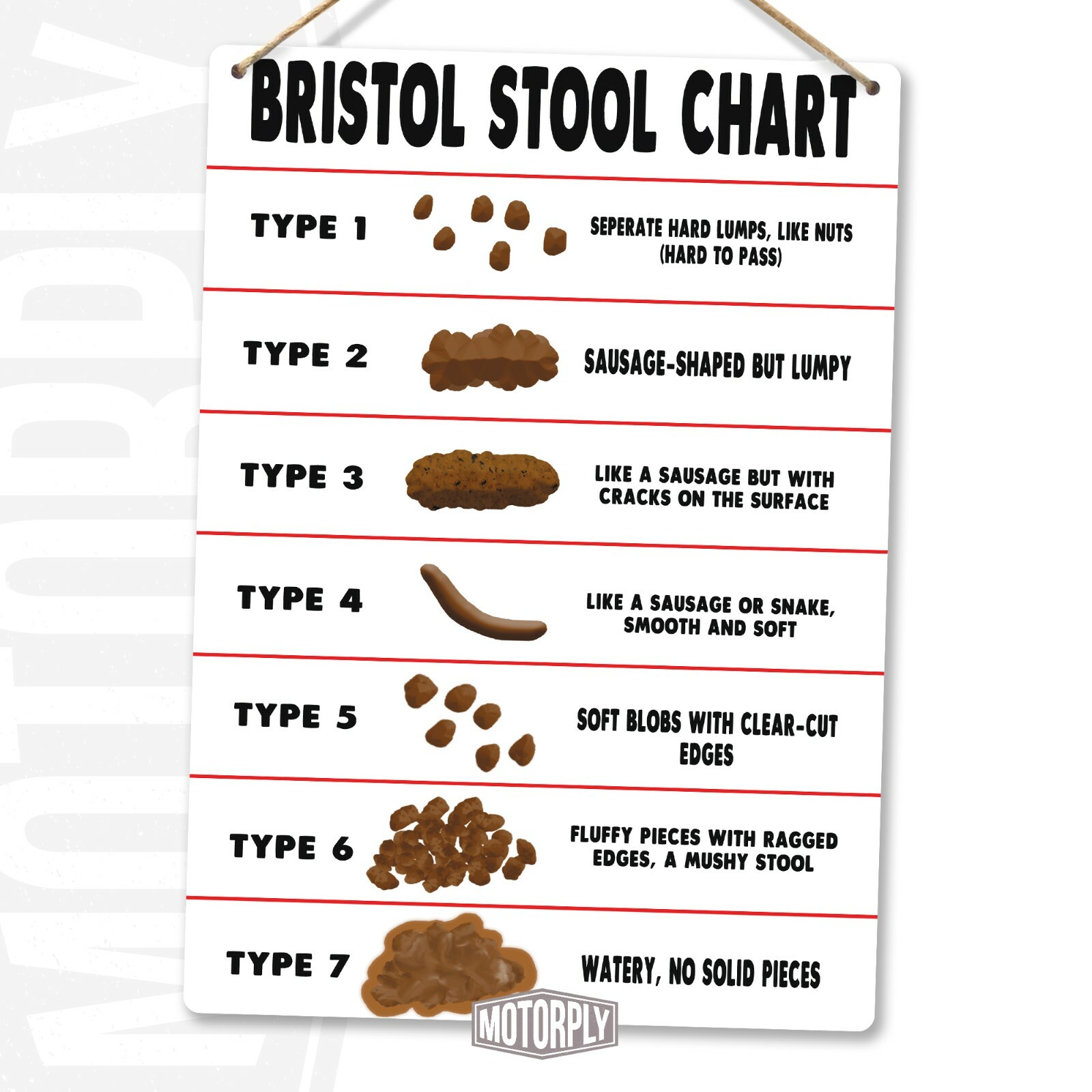 Metal Wall Sign - Bristol Stool Chart - Funny Gift Rude Toilet Humor ...